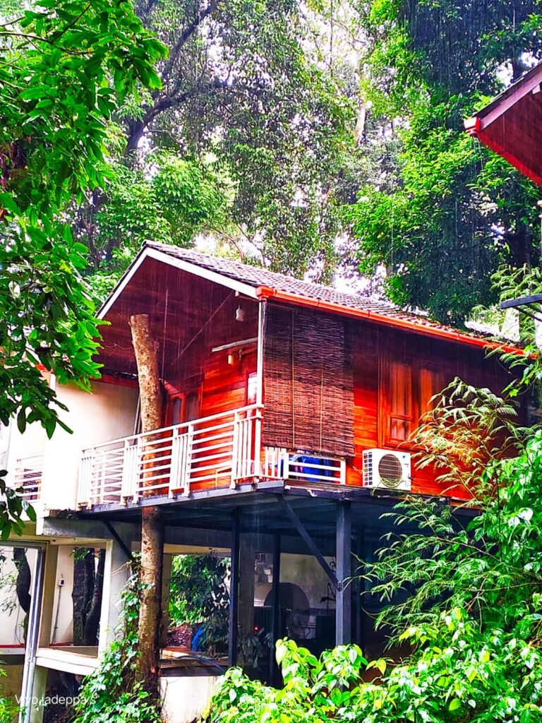 Coorg Coffee Camp Resort