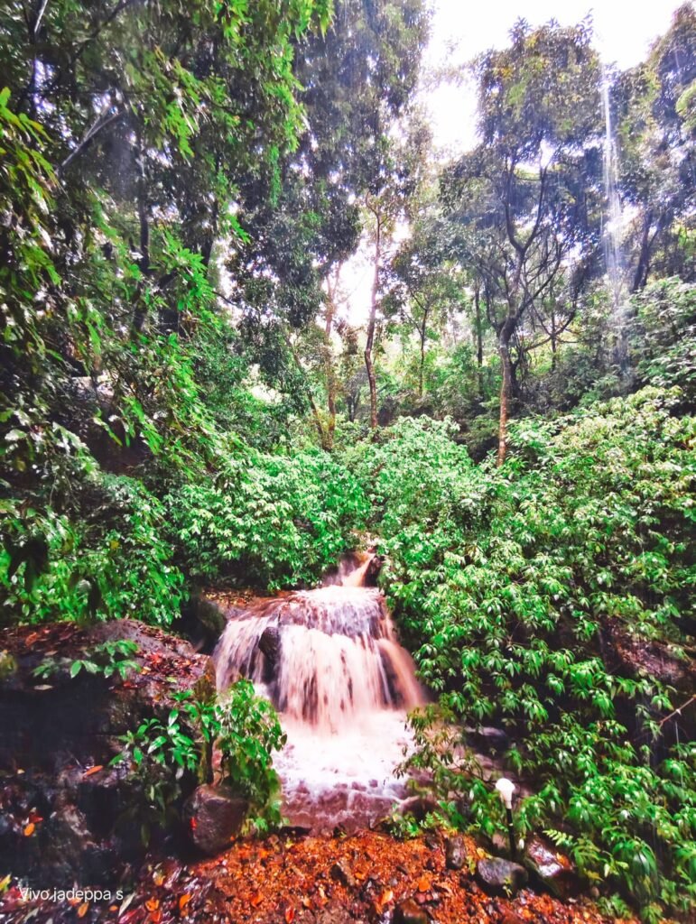 Coorg Coffee Camp Resort